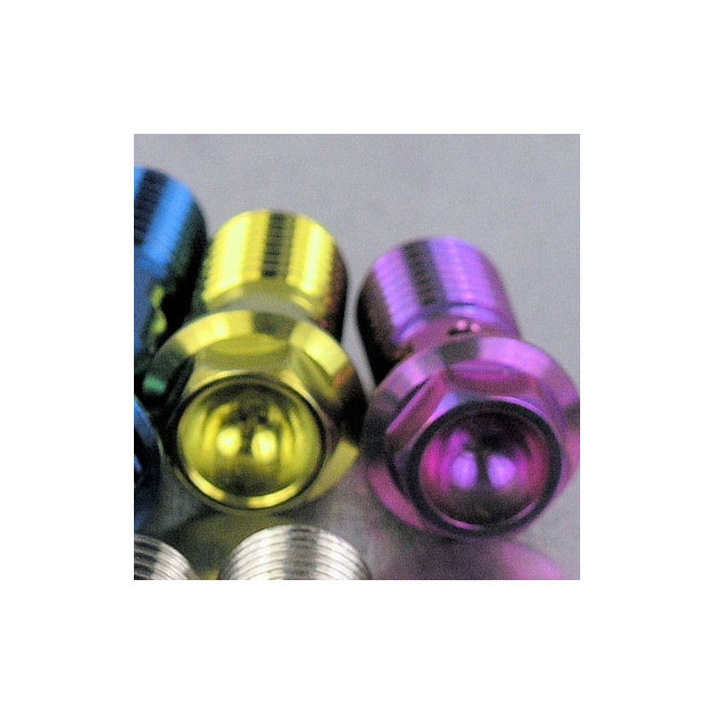 Vis banjo simple métrique Titane, vis métrique, Pro Bolt TIBANJOS20-2