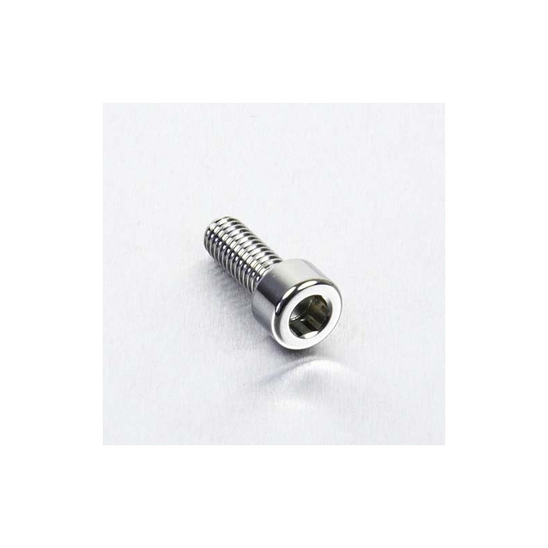 Achat Vis BTR en Inox Poli M6 x 16mm (1.00mm) - Visserie moto Pro-Bolt